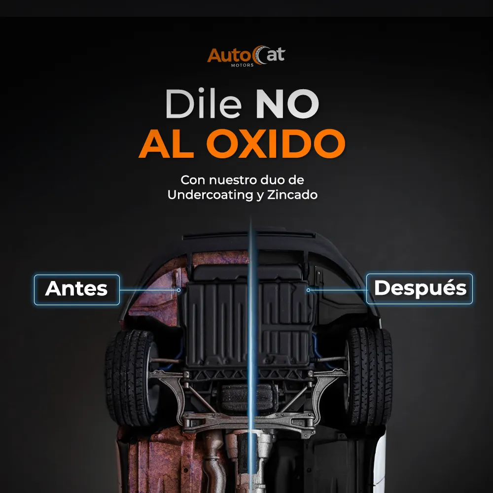 Undercoating para Vehículos 🚙